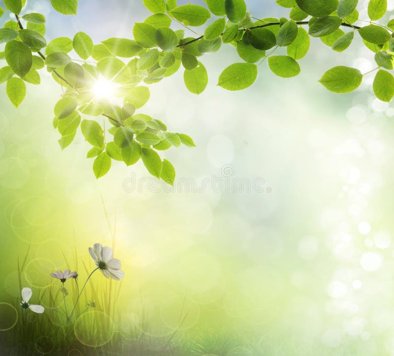 Spring or Summer Abstract Background with Bokeh Lights. Stock ...