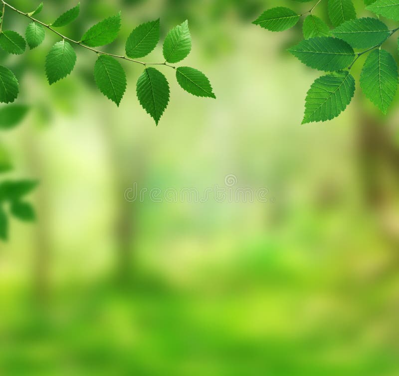 Spring background stock image. Image of beam, bokeh, focus - 37616083