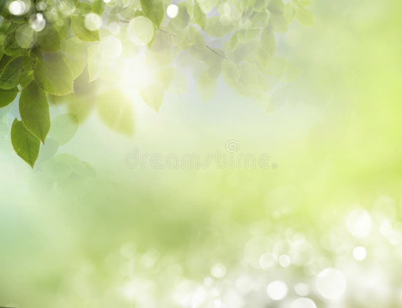 Spring or Summer Abstract Background with Bokeh Lights. Stock ...