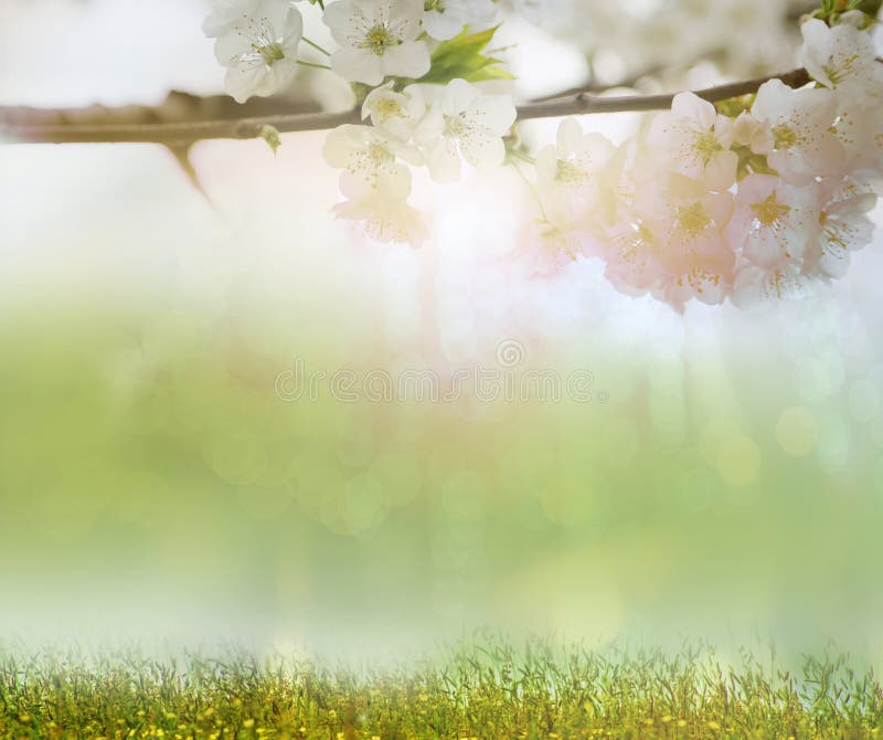 Spring background stock image. Image of nature, element - 68875415