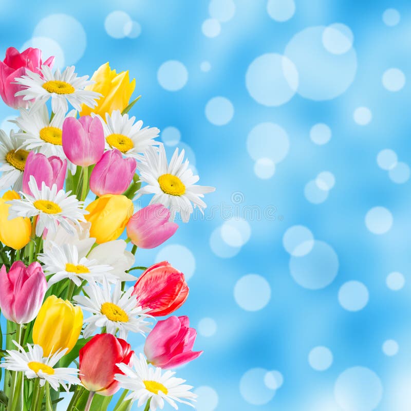 Spring background stock illustration. Illustration of light - 49926592