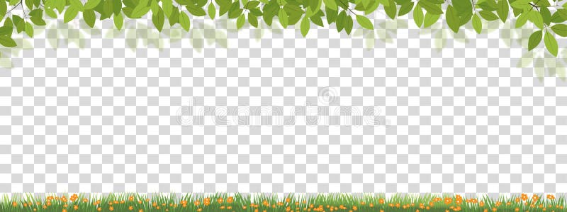 Spring Background,Borders and Frames Green Leaves and Grass Fields with ...