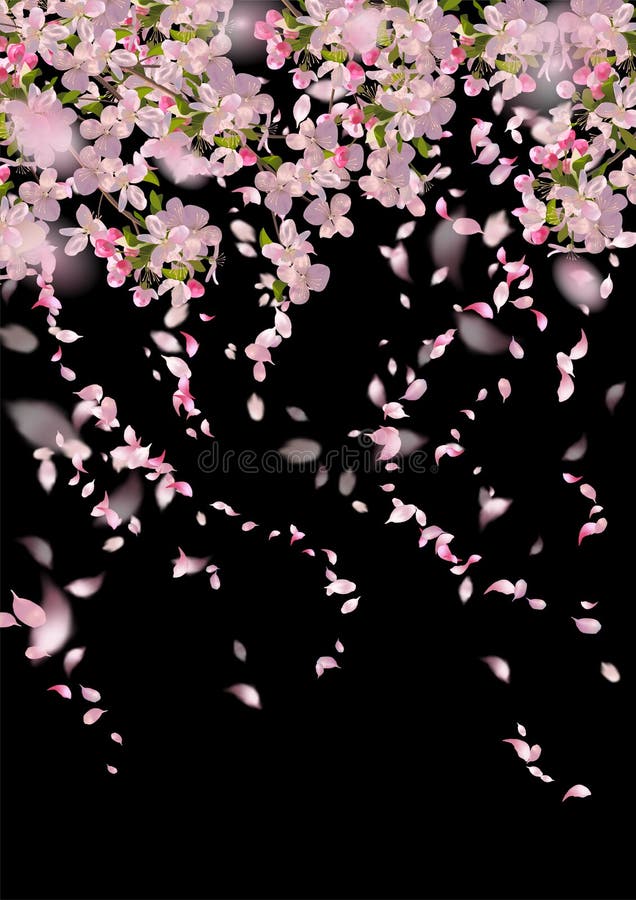 Spring Cherry Blossom stock illustration. Illustration of decorative ...