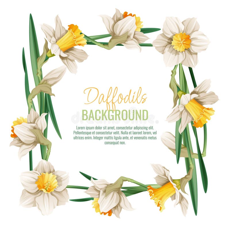 Spring Background with Daffodils. Postcard, Banner for Easter. Spring ...