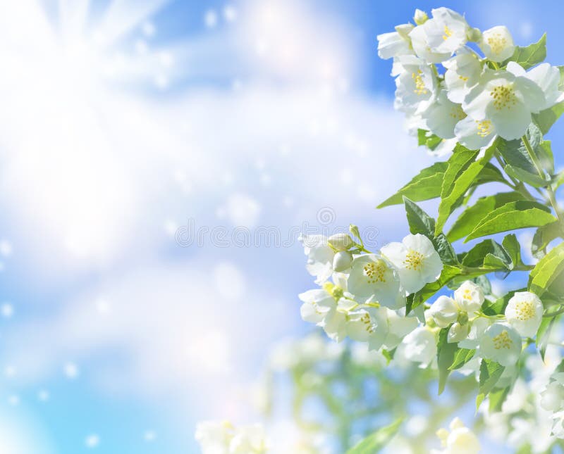 Spring Background. Natural Background for Postcards and Collages Stock ...