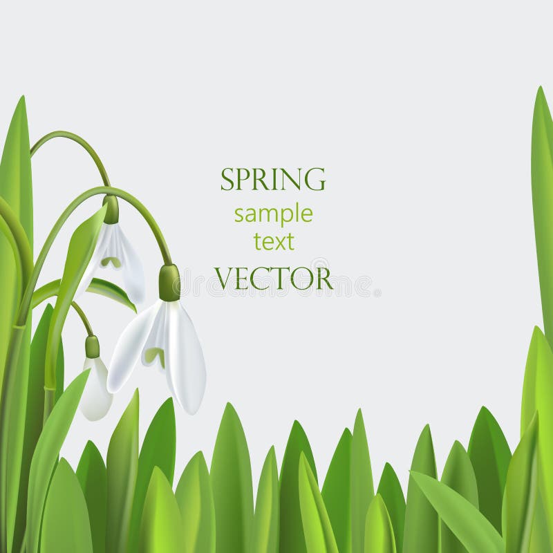 Background with Spring Branches and Swollen Buds, Stock Vector ...