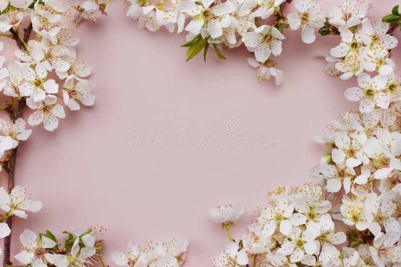 1,167 Plum Border Frame Stock Photos - Free & Royalty-Free Stock Photos ...