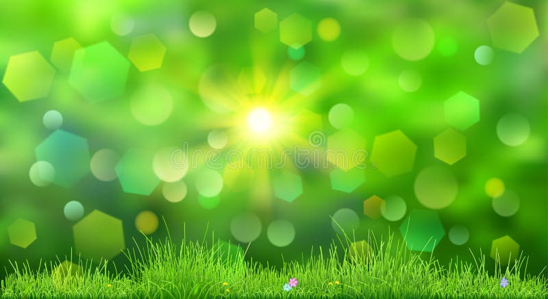 Spring Background with Green Grass Stock Vector - Illustration of flare ...