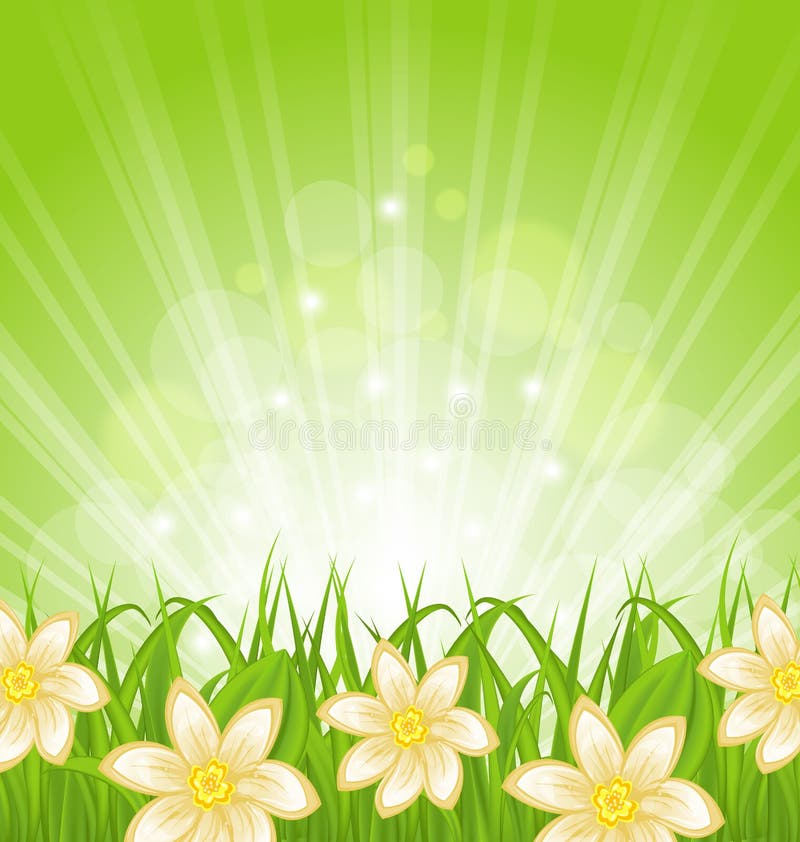 Spring Background with Flowers and Leaves Stock Vector - Illustration ...