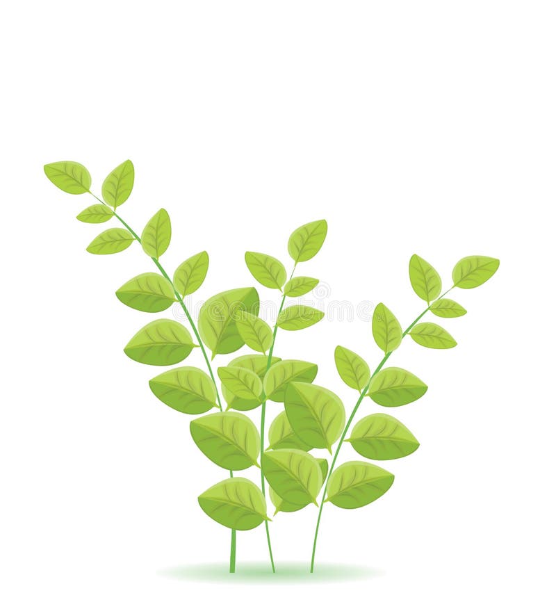 Spring Background Illustration on White Background Stock Vector ...