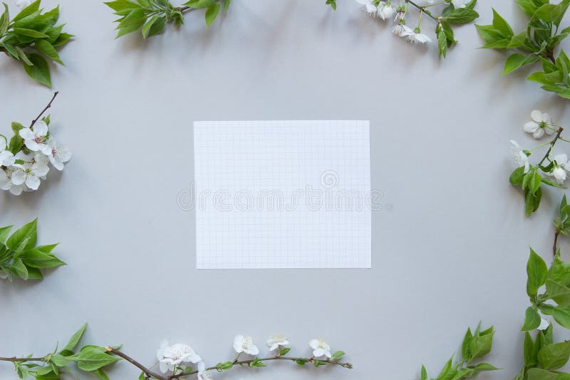 Spring Background With Paper Sheet. Beautiful Fresh Flowers And Leaves ...