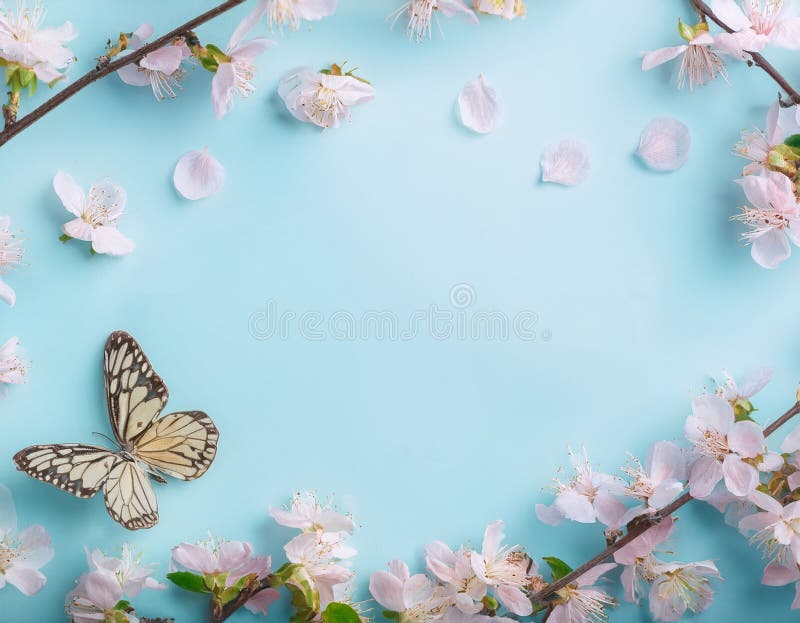 Spring Background with Petals and Flowers and Butterfly. Top Down View ...