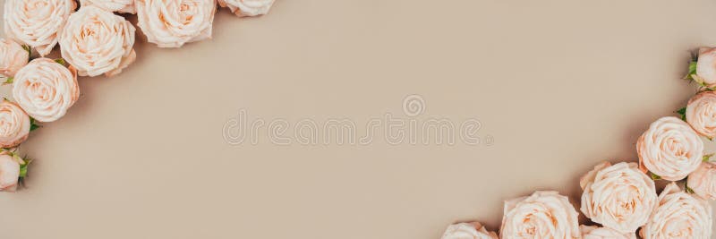 Spring Background. Rose Flowers on a Beige Background Stock Photo ...