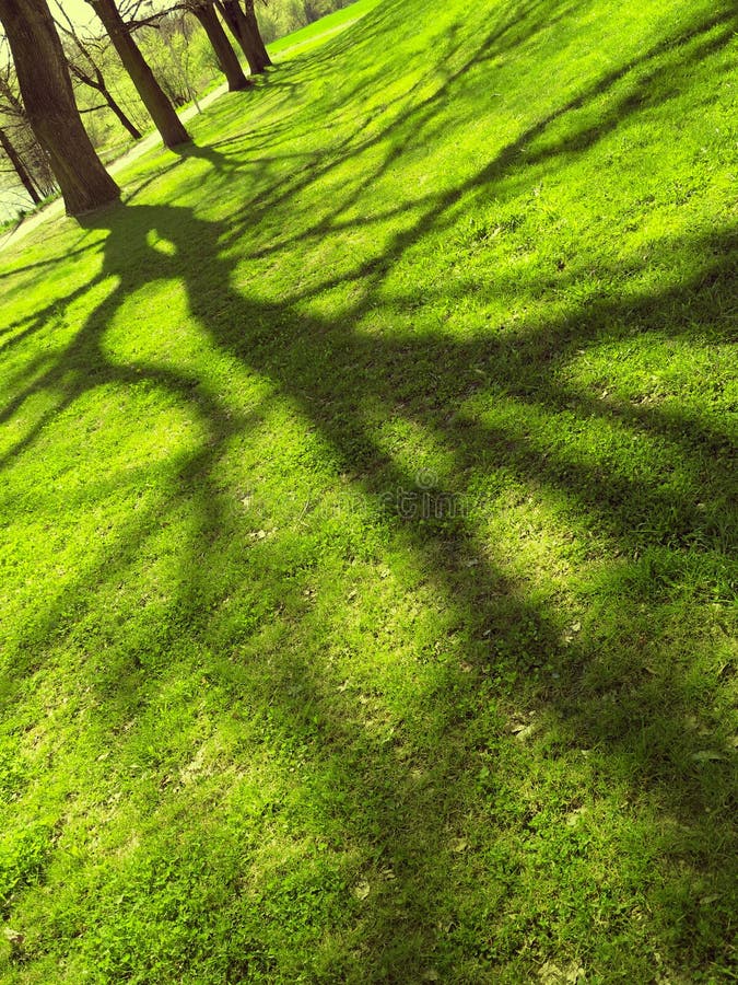 Great tree shadow stock photo. Image of cast, colour - 25908402