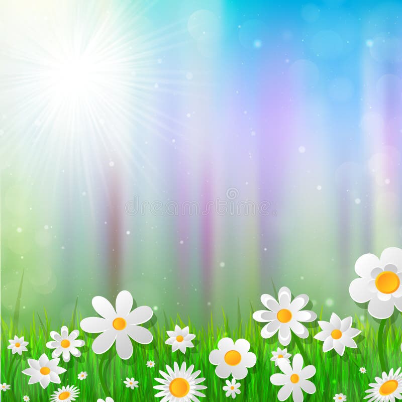Spring Background with White Flowers in the Grass Stock Vector ...
