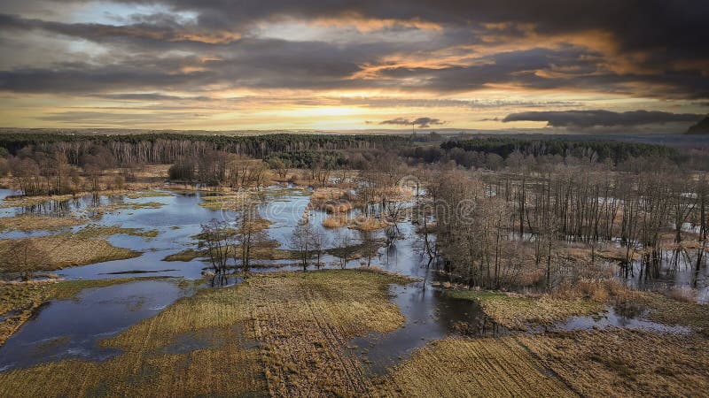 Spring Backwaters Around a Small River, Poland. Stock Photo - Image of ...