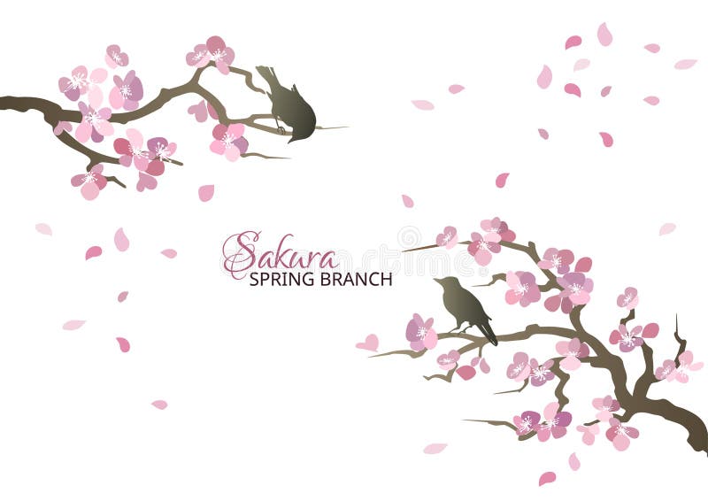 Spring Baground with Sakura Branches and Birds. Spring Poster or ...