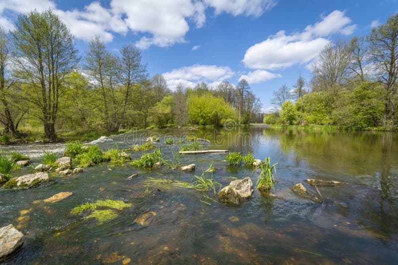 Spring on the Banks of the Warta River, Poland. Stock Image - Image of ...