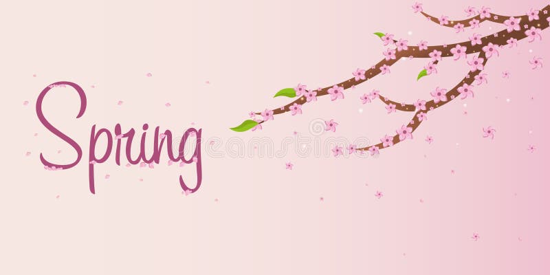 Spring Banner. Background with Sacura. Vector Illustration. Stock ...
