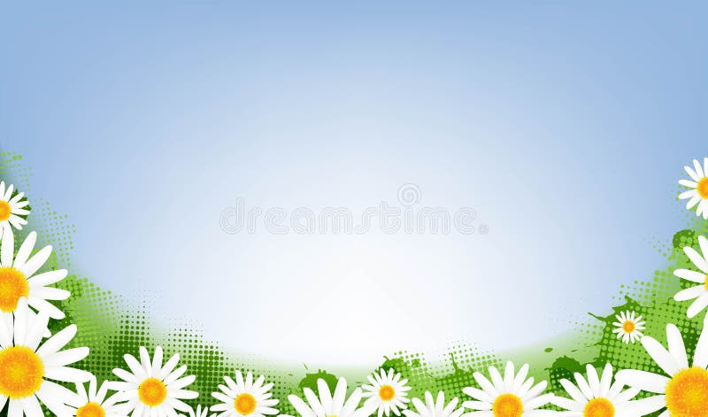 Spring Banner with Spring Camomiles and Blue Sky Stock Vector ...