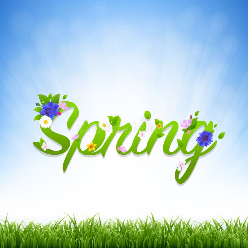 Spring Banner stock vector. Illustration of camomile - 212202007