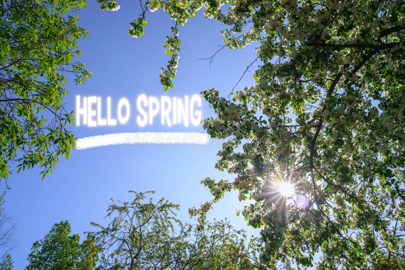 Spring Banner. Hello, Spring. the Beginning of the Spring Season ...