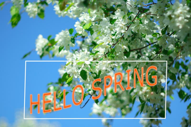 Spring Banner. Hello, Spring. the Beginning of the Spring Season ...