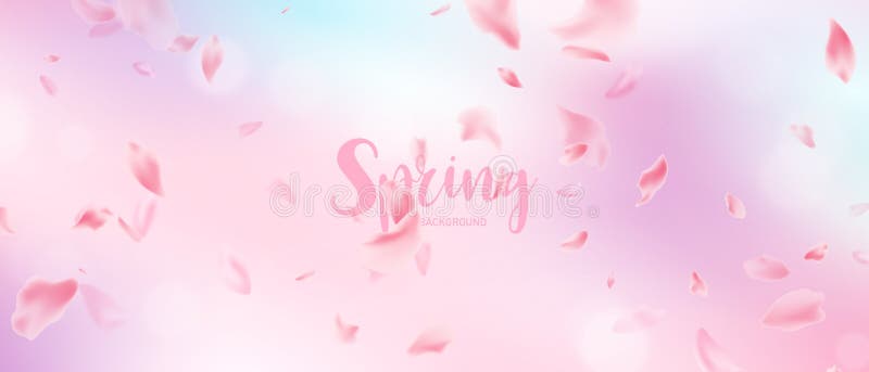 Spring Banner Template Cherry Blossom Vector Illustration Design Stock ...