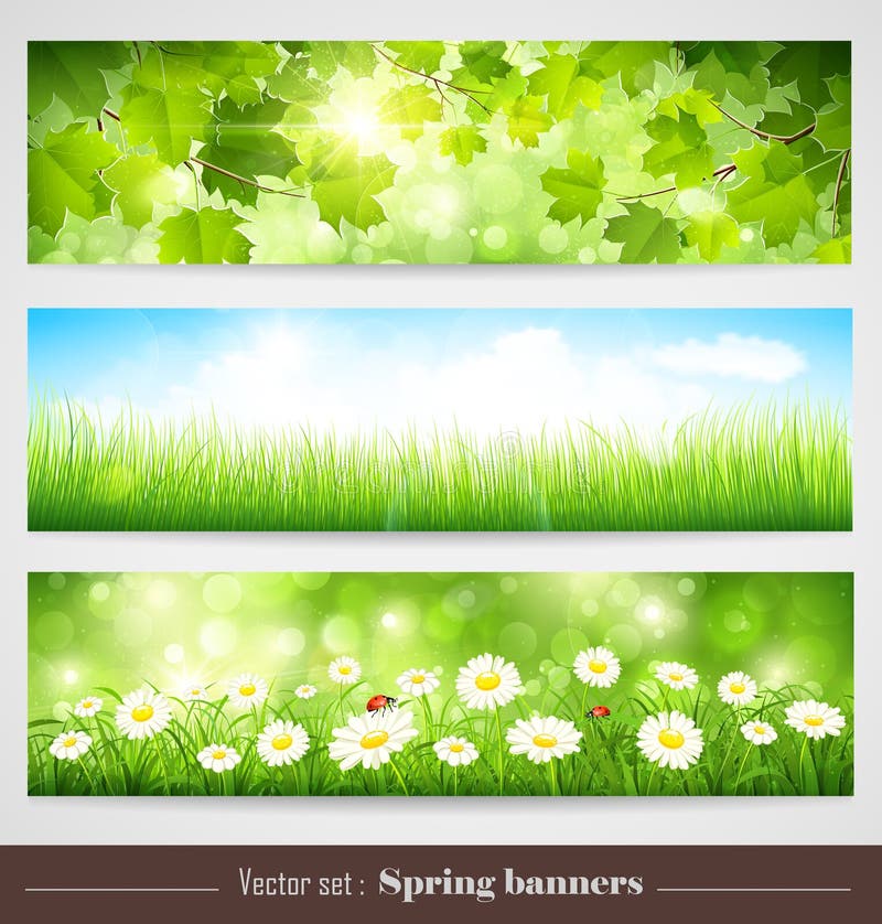 Nature Vertical Background with Spring or Summer Scene Stock Vector ...