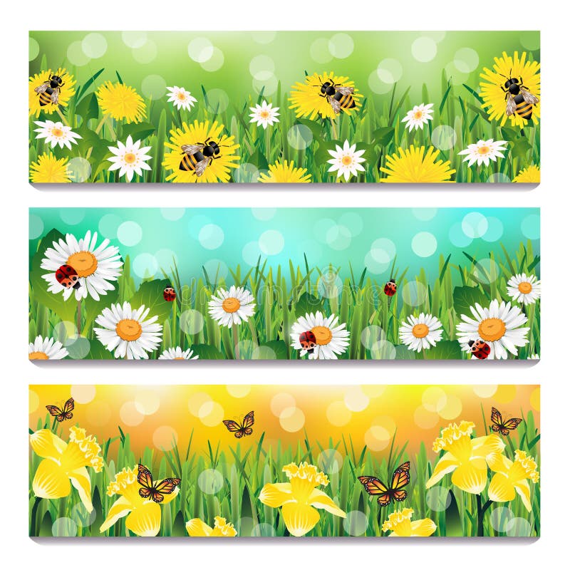 Spring Banners Stock Vector Illustration Of Daffodils 52437410