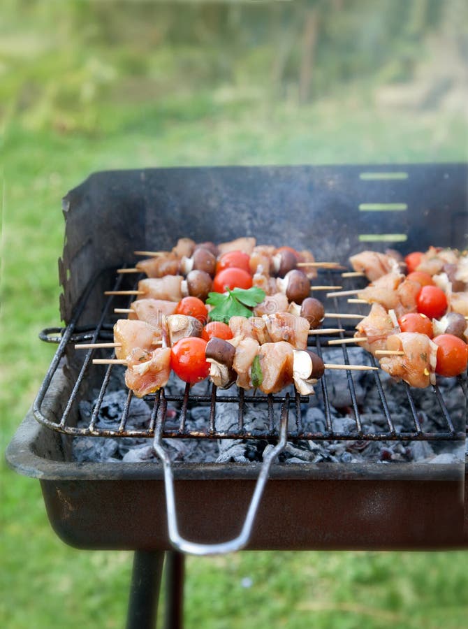 Backyard Barbecue stock image. Image of beef, charcoal - 6040805