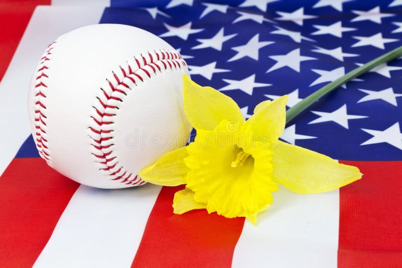 Spring Baseball stock image. Image of american, dedication - 24423581