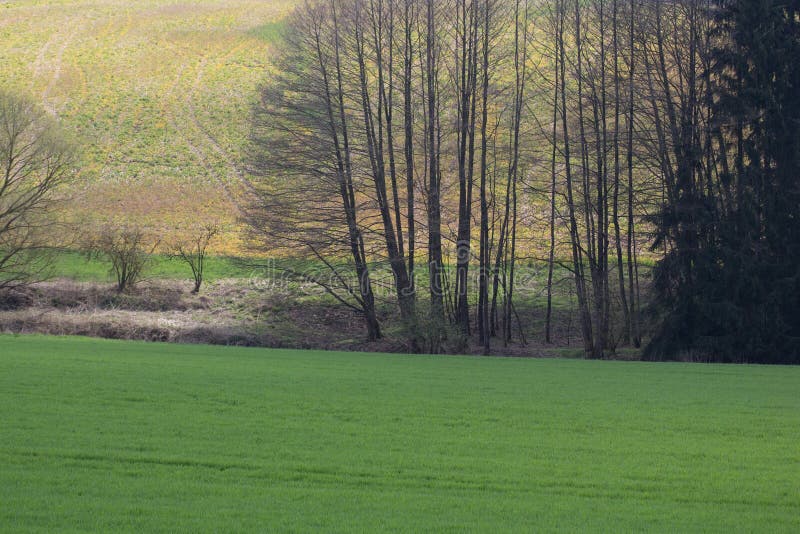 Spring in bavaria stock image. Image of land, mountain - 84186993