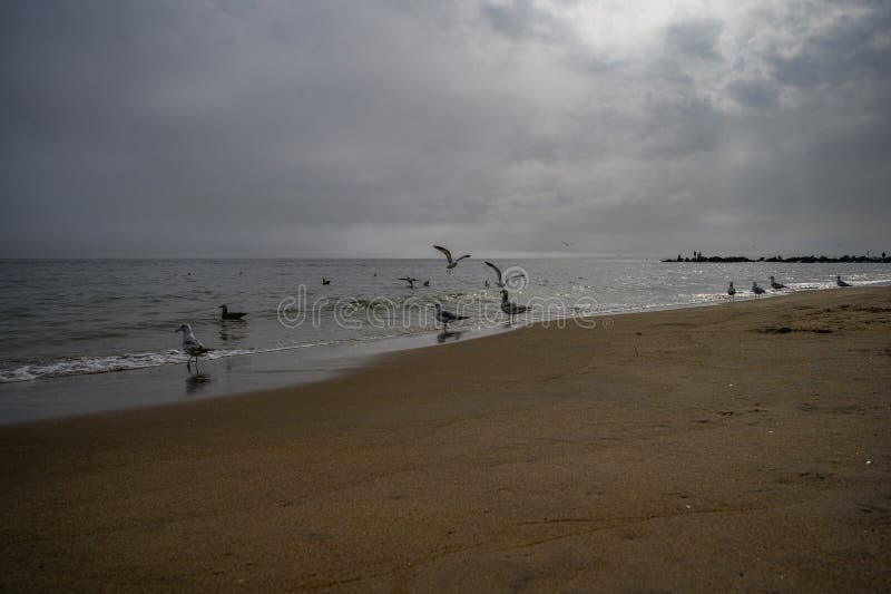 Spring on a Beach stock image. Image of nature, atlantic - 275871307