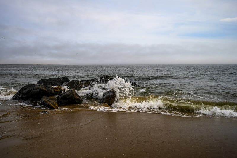 Spring on a Beach stock image. Image of tourist, water - 275871347