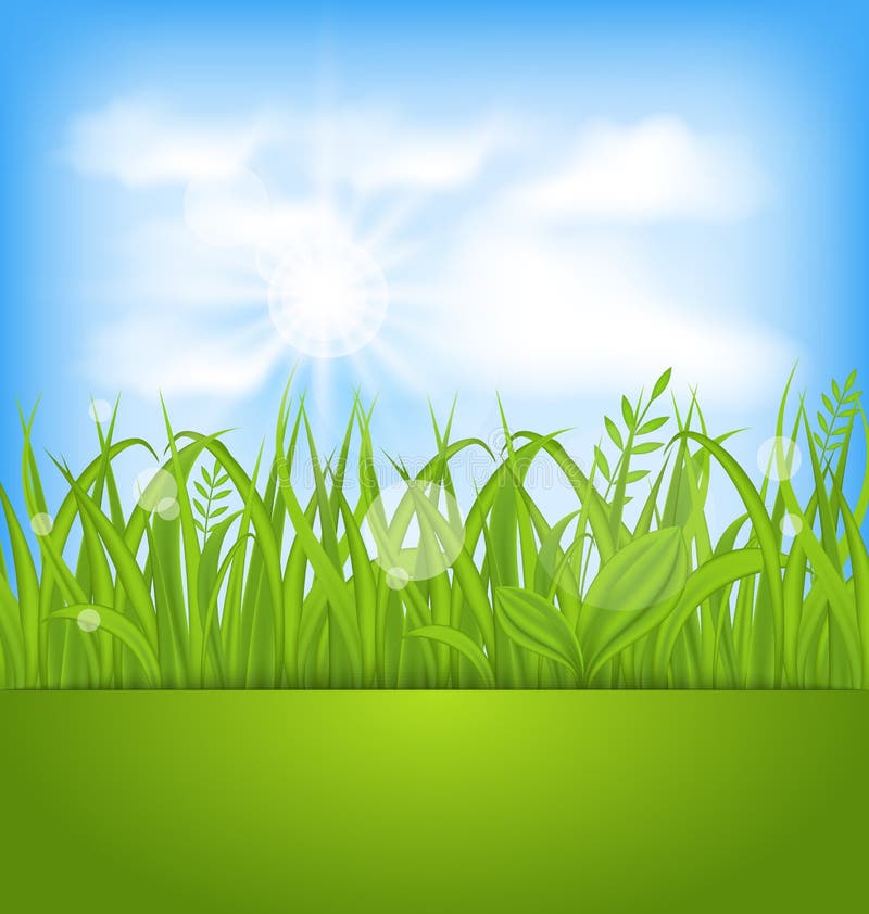 Spring Beautiful Card, Natural Background Stock Vector - Illustration ...