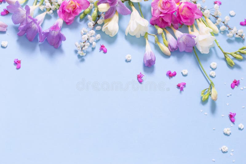 Spring Beautiful Flowers on Blue Background Stock Image - Image of ...