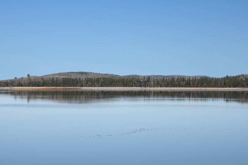 In Spring, Beautiful Lake in the Canadian Forest Stock Photo - Image of ...