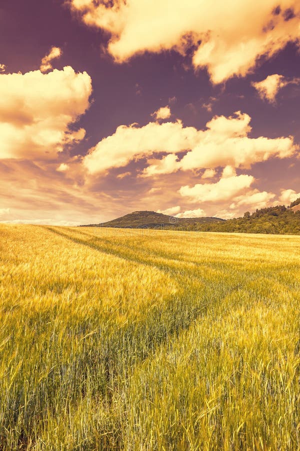 Spring Beautiful Landscape at Sunset Stock Image - Image of cloud ...