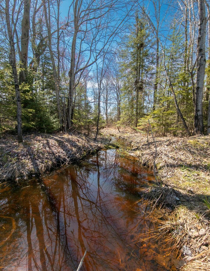 In spring, beautiful river stock photo. Image of outdoor - 247000776