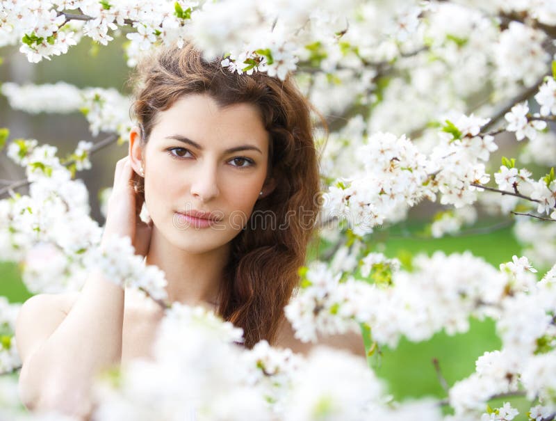 Spring beauty stock image. Image of bride, beauty, plum - 5229039