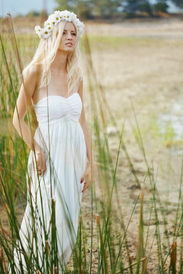 Spring beauty stock photo. Image of fresh, gorgeous, field - 18359024