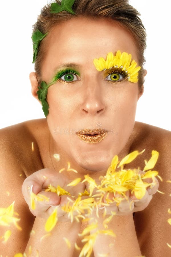 Spring Beauty stock image. Image of daisy, summer, blowing - 770049