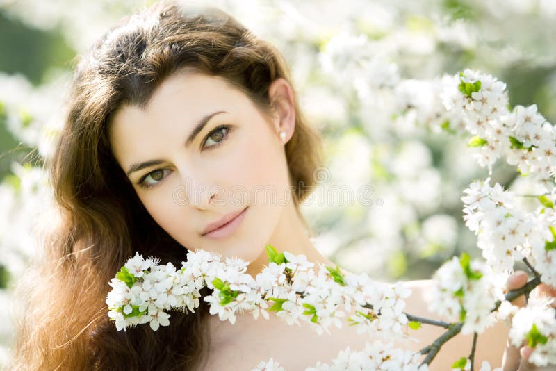 Spring beauty stock image. Image of bride, beauty, plum - 5229039