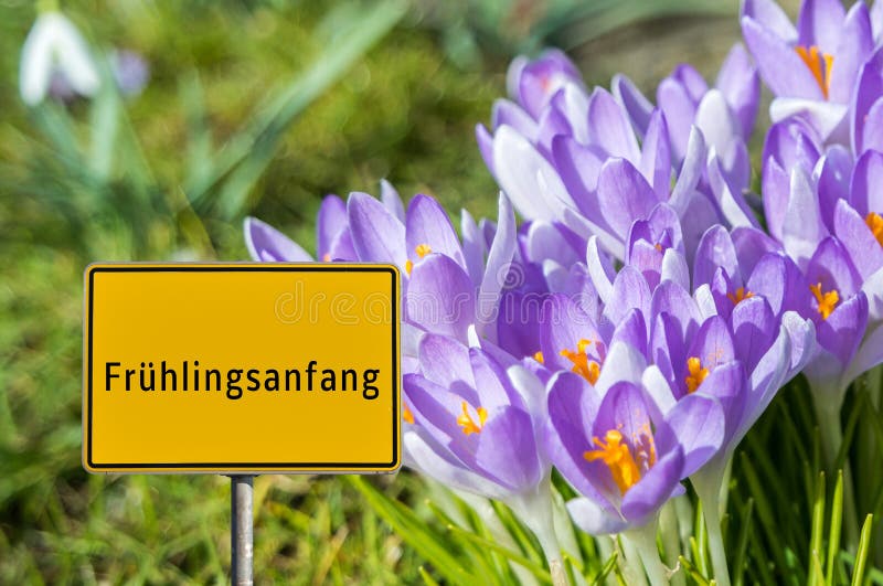 Spring beginning sign stock photo. Image of crocus, sunshine - 193367296