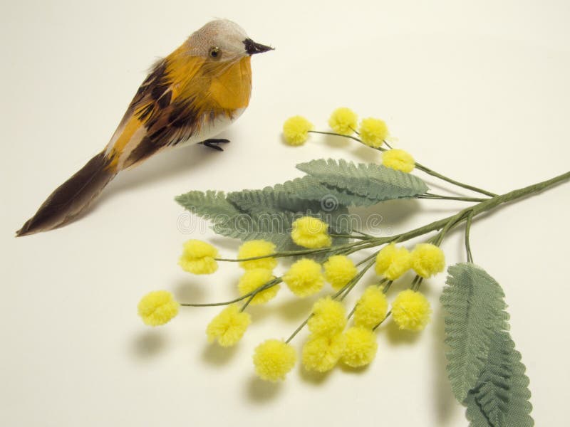 Spring begins stock image. Image of tree, green, colors - 2060377