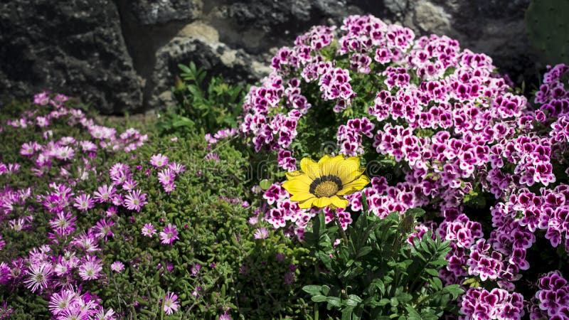 Spring Explosion stock photo. Image of path, spring, mountains - 252438