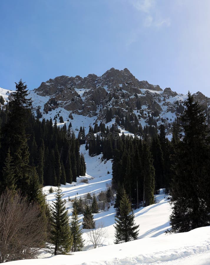 Spring Begins in the Mountains. Stock Photo - Image of morning, white ...