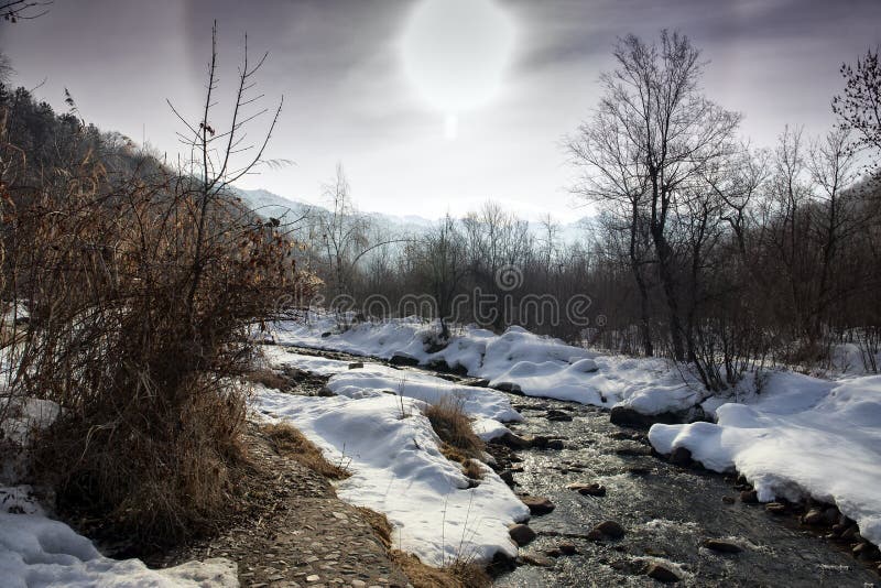 Spring Begins in the Mountains. Stock Photo - Image of full, forest ...