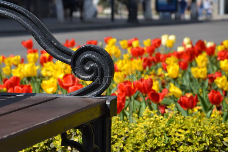 Spring bench stock photo. Image of green, park, yellow - 70137026
